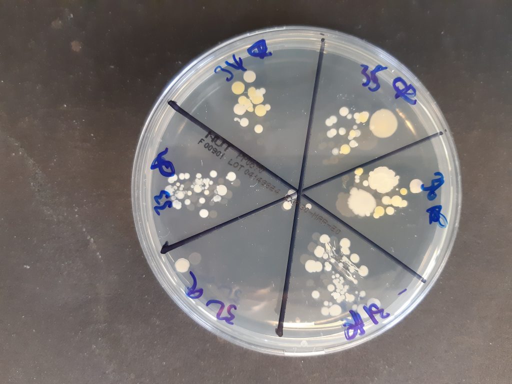Rogue Cells – Techniquest, March 2020 – Show Me The Science